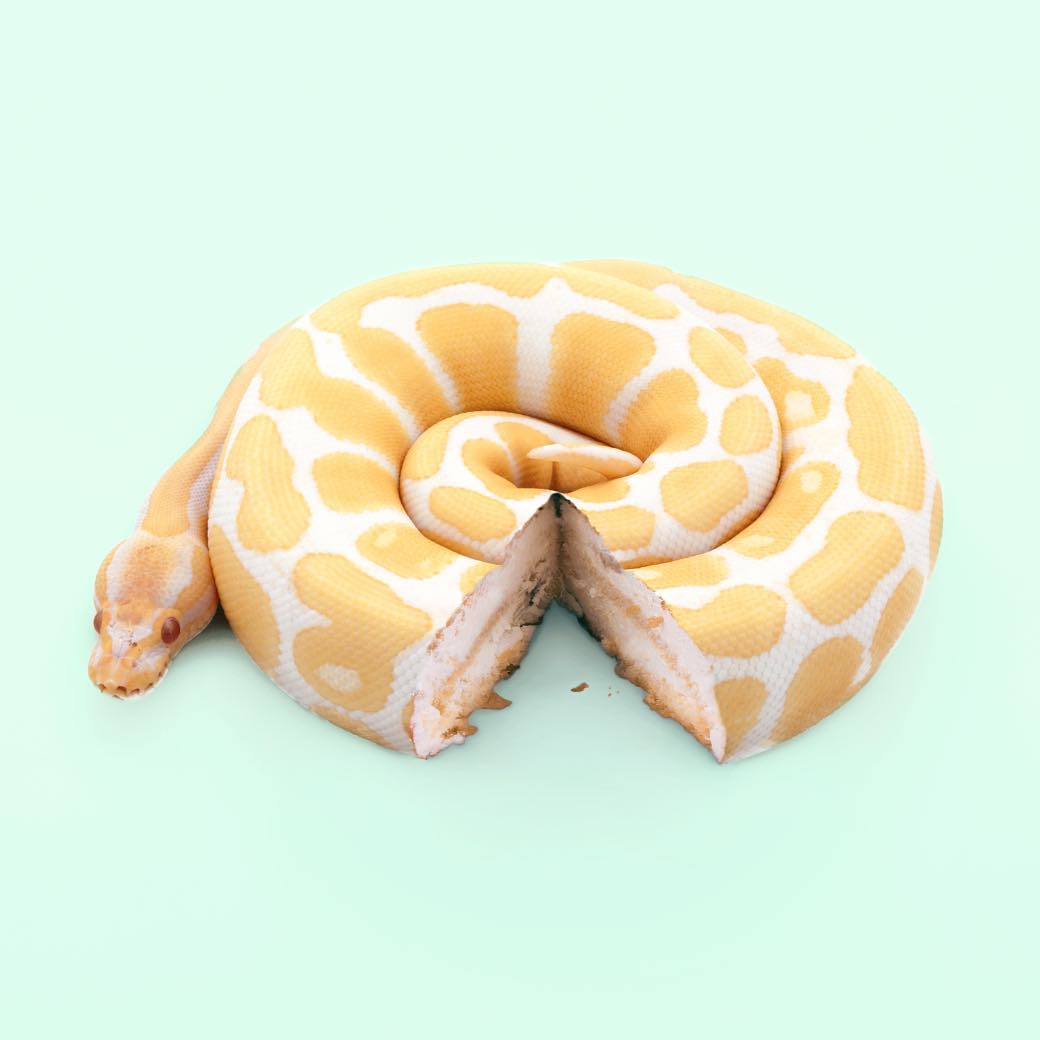 Paul Fuentes et ses designs totalement décalés - CD-MENTIEL MAGAZINE